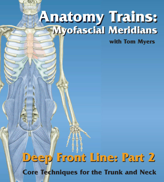 Deep Front Line Pt 2 | Anatomy Trains: Myofascial Meridians