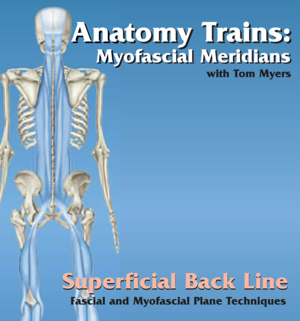 The Shoulder & Arm Lines Video - Fascial and Myofascial Plane Techniques