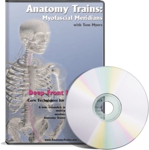 Deep Front Line - Part 2 - Fascial and Myofascial Plane Techniques