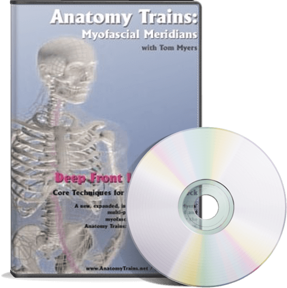 Deep Front Line - Part 2 - Fascial and Myofascial Plane Techniques