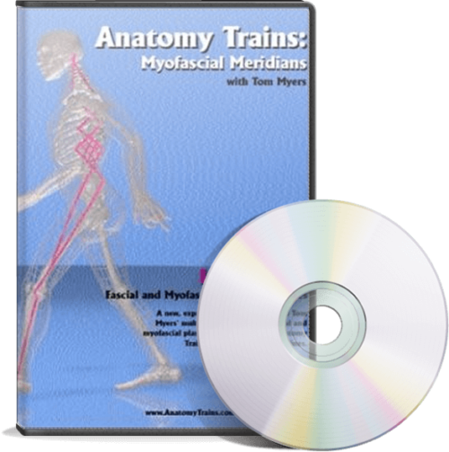 Lateral Line DVD - Fascial and Myofascial Plane Techniques
