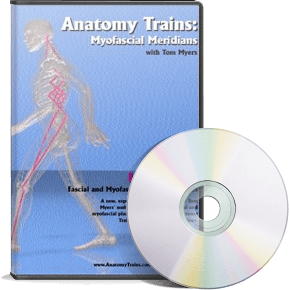 Lateral Line DVD - Fascial and Myofascial Plane Techniques