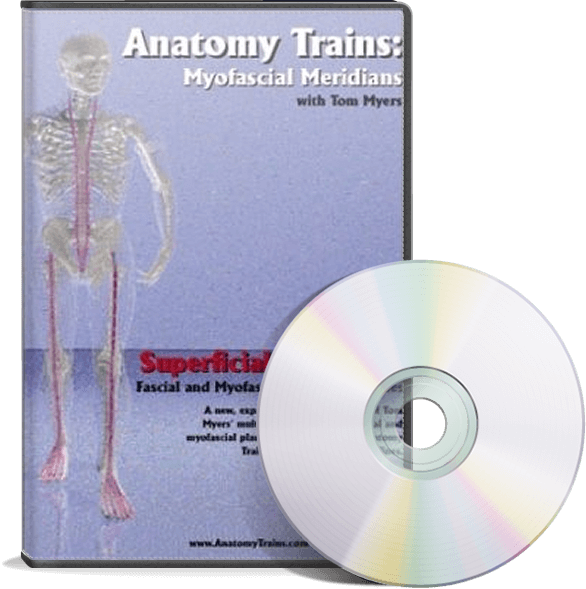 Superficial Front Line DVD - Fascial and Myofascial Plane Techniques