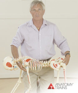 The Science of Bodywork #1 - Unfolding Evolution Webinar