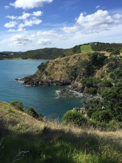 Auckland - Anatomy Trains Blog