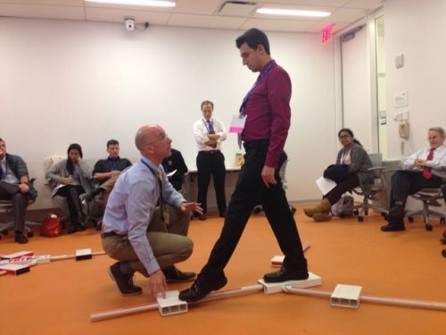 Association of Anatomists- Architecture and the Human Body