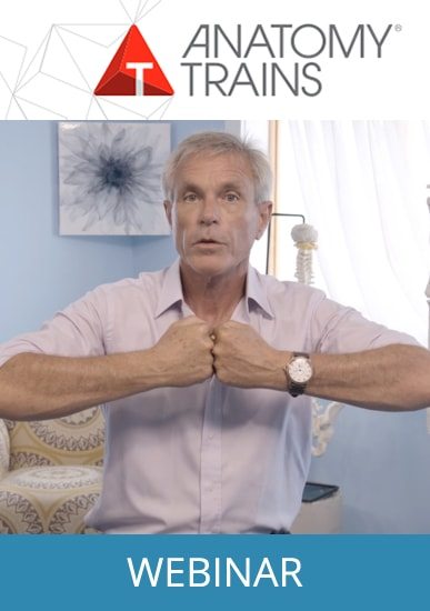 How Fascia Moves - Fascial Response to Stretch and Training