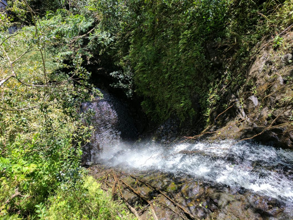 Aina | Anatomy Trains City Lights Blog