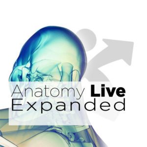 Dissection Lab & Intensive Course - Anatomy Live: Expanded