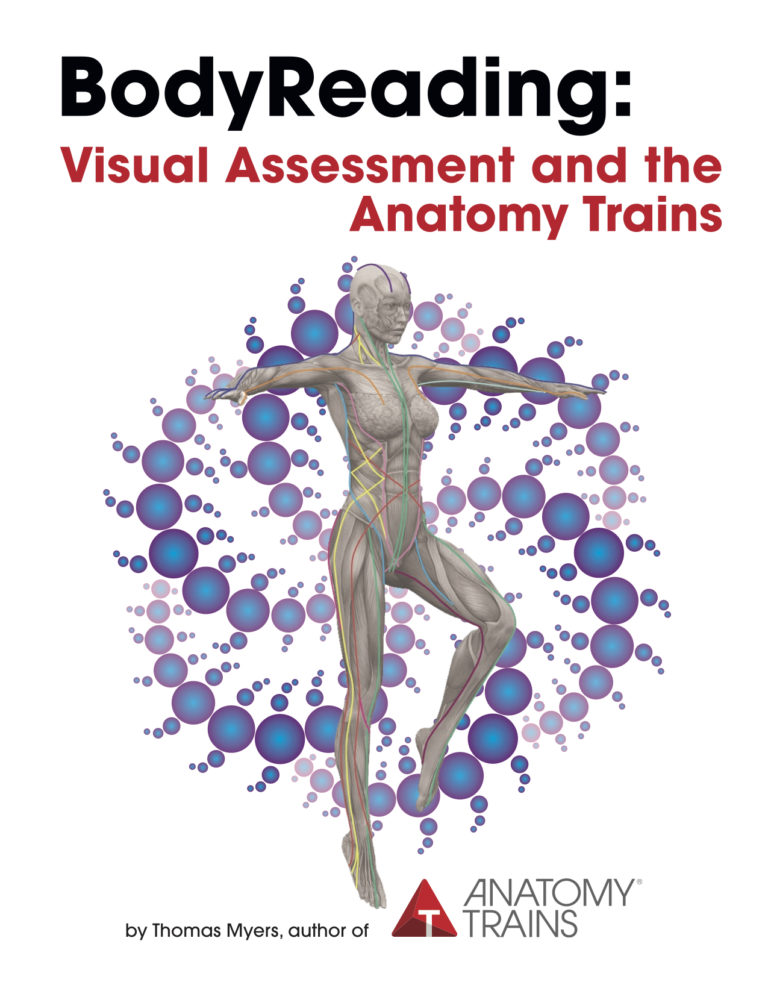 Anatomy Trains Books for Sale | Fascial Health Literature