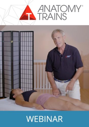 Learning Archives - Anatomy Trains