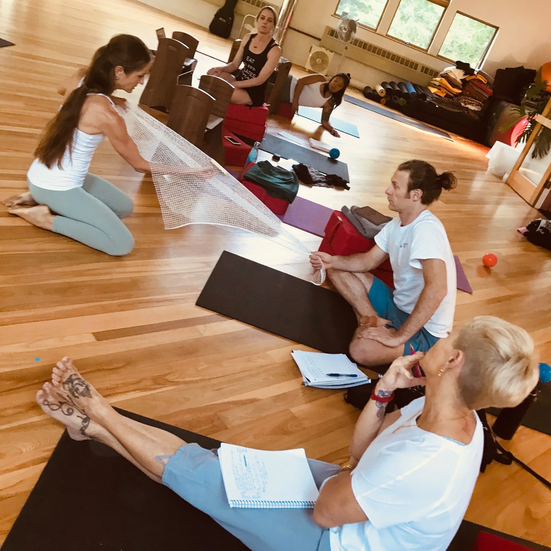 First Anatomy Trains in Motion Teacher Training in North America