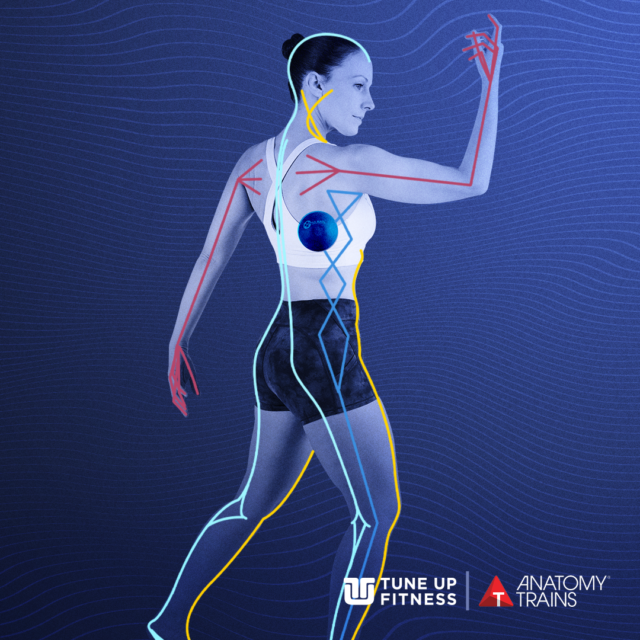 Rolling Along the Anatomy Trains with Tom Myers & Jill Mill