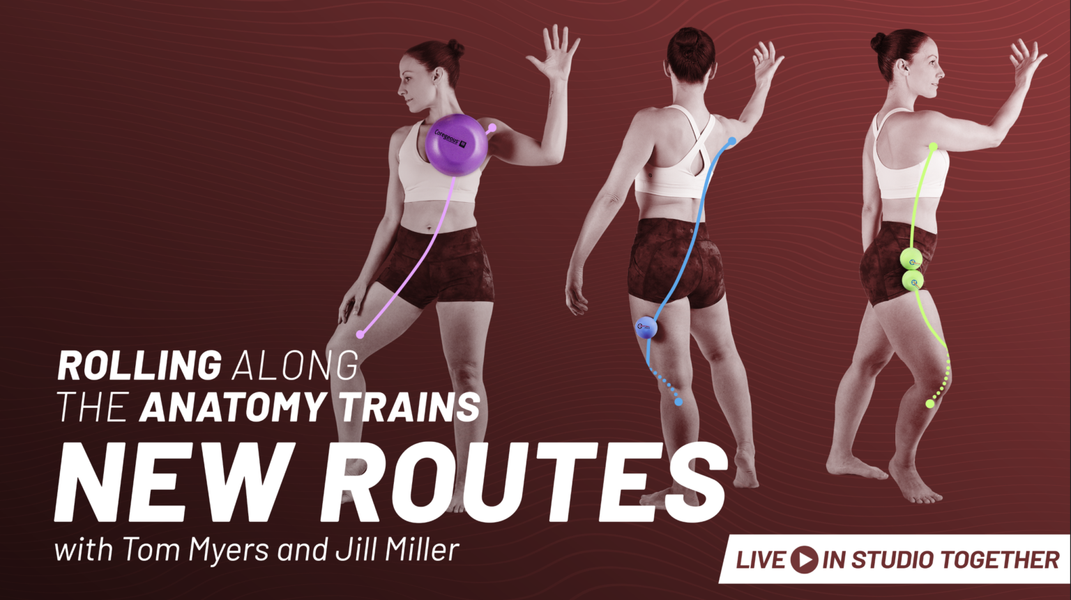 Rolling Along the Anatomy Trains: New Routes Live Online with Jill ...