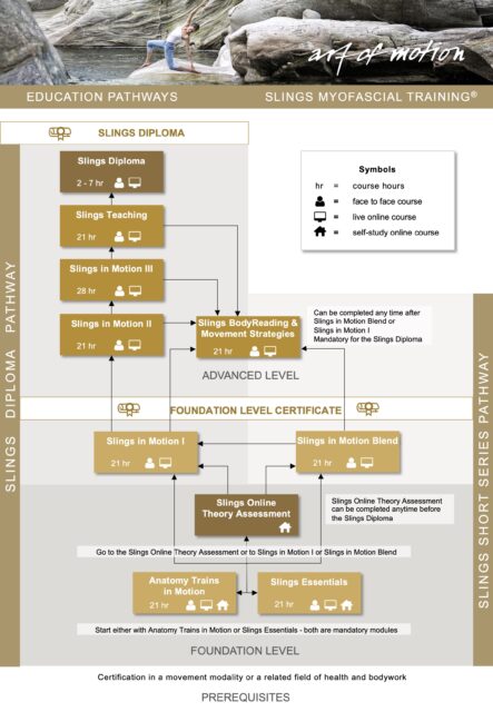 Anatomy Trains in Motion - Body Movement Course by Karin Gurtner