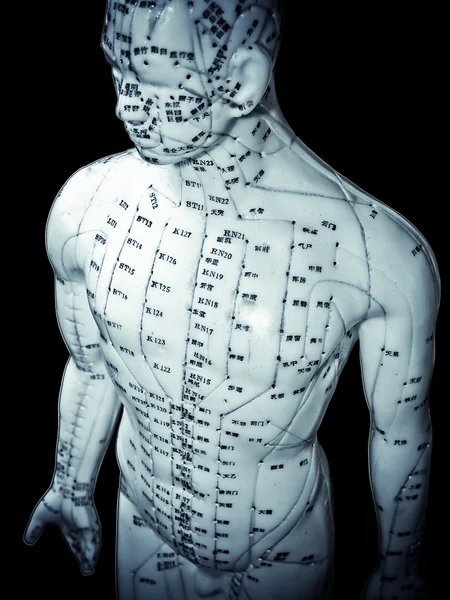 Acupuncture Meridians and the Anatomy Trains | Blog