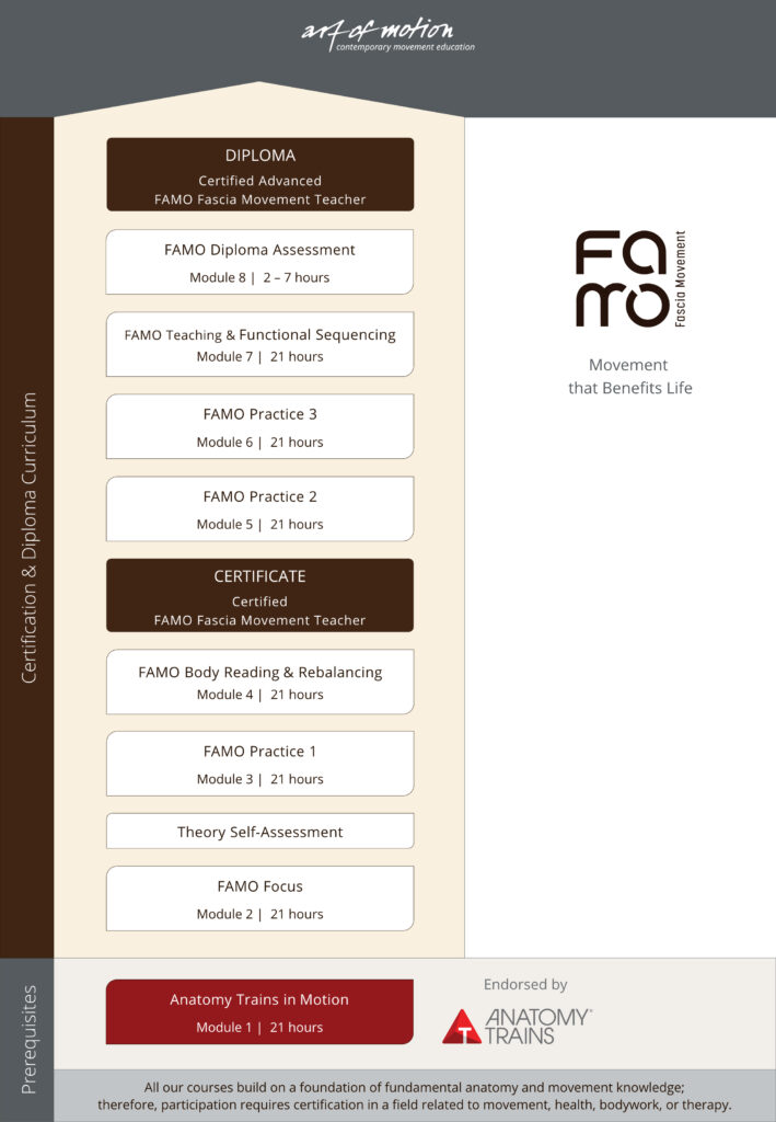 Anatomy Trains in Motion - Body Movement Course by Karin Gurtner